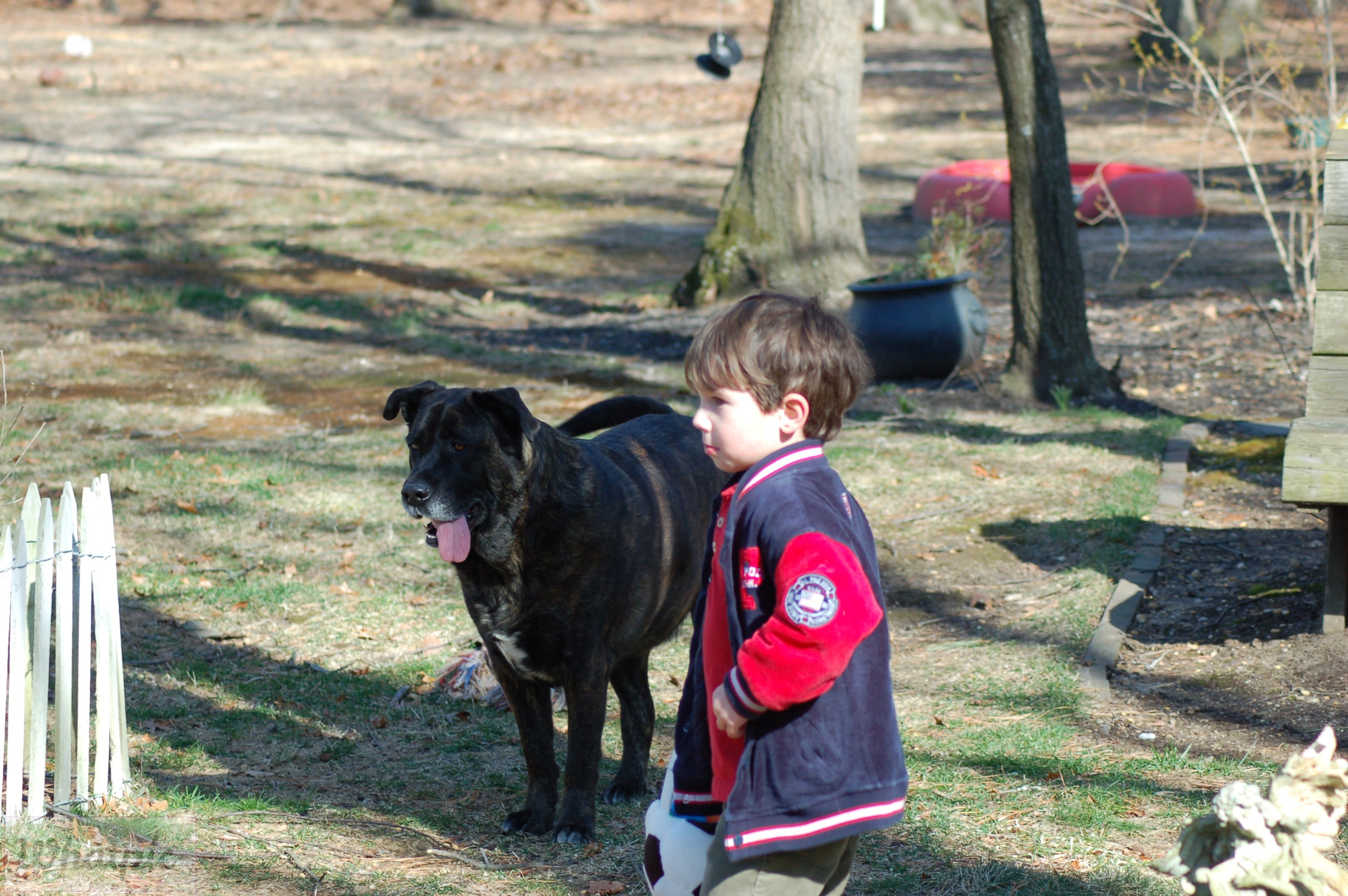 dsc 0035 28348929915 o - Whatpic.com